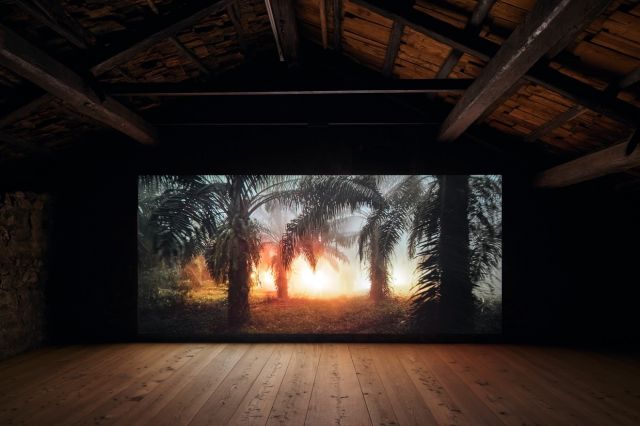 JULIAN CHARRIÈRE - Ever Since We Crawled Out_展览_美术网-Mei-shu.com