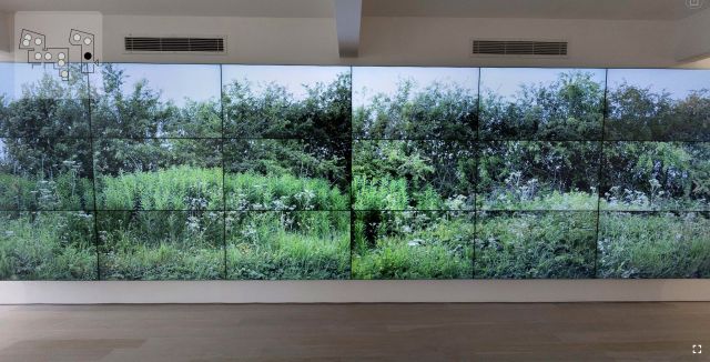 David Hockney - Video Brings Its Time to You, You Bring Your Time to ...